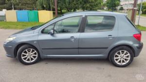 Pelēks Peugeot 307 2006 Panevēža, ar dzinēja tilpumu 1.40 L un nobraukumu 179 tūkst. km par 1250 €, foto 6 vietnē AUTOMOTO.COM.LV