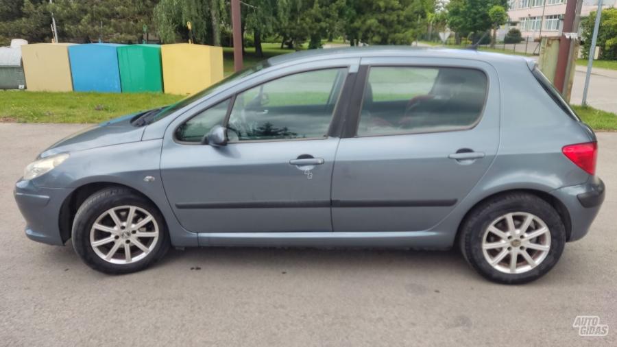 Pelēks Peugeot 307 2006 Panevēža, ar dzinēja tilpumu 1.40 L un nobraukumu 179 tūkst. km par 1250 €, foto 6 vietnē AUTOMOTO.COM.LV