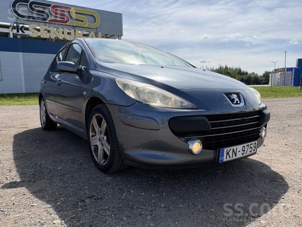 Pelēks Peugeot 307 2006 Daugavpils, ar dzinēja tilpumu 1.60 L un nobraukumu 254 tūkst. km par 799 €, foto 7 vietnē AUTOMOTO.COM.LV