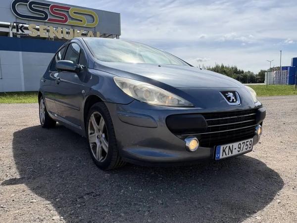 Pelēks Peugeot 307 2006 Daugavpils, ar dzinēja tilpumu 1.60 L un nobraukumu 254 tūkst. km par 799 €, foto 7 vietnē AUTOMOTO.COM.LV