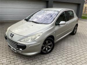 Grey Peugeot 307 2007 in Kaunas, with an engine capacity of 2.00 L and mileage of 299 thousand km for 1750 €, photo  on AUTOMOTO.COM.LV