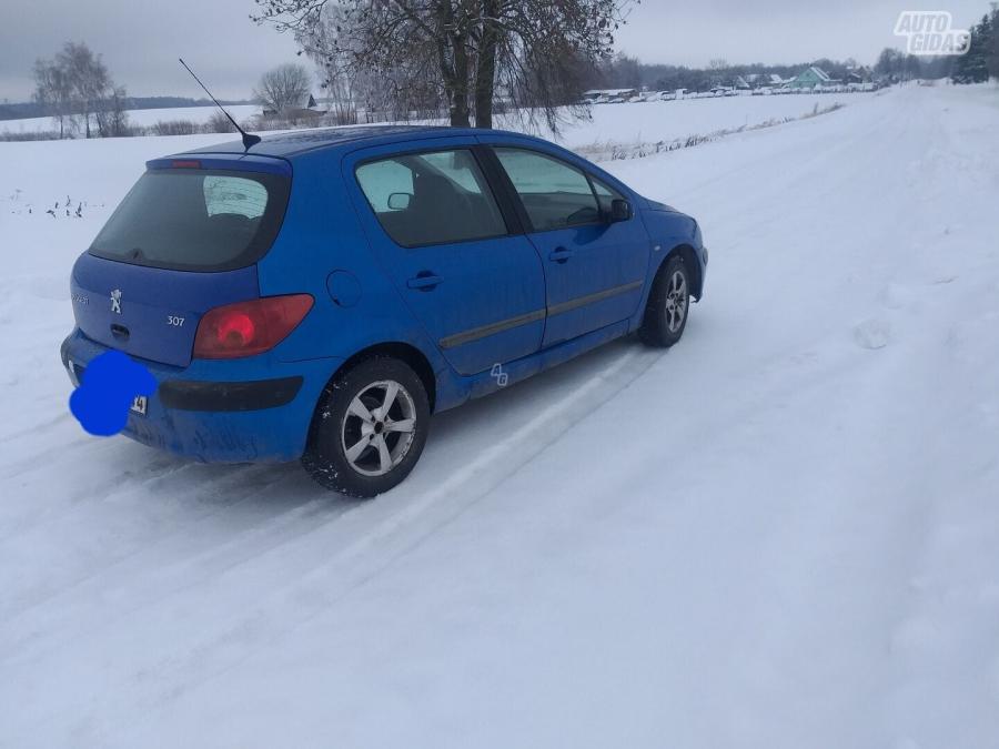 Peugeot 307 2002 in Vilnius, with an engine capacity of 1.90 L and mileage of 280 thousand km for 850 €, photo 2 on AUTOMOTO.COM.LV