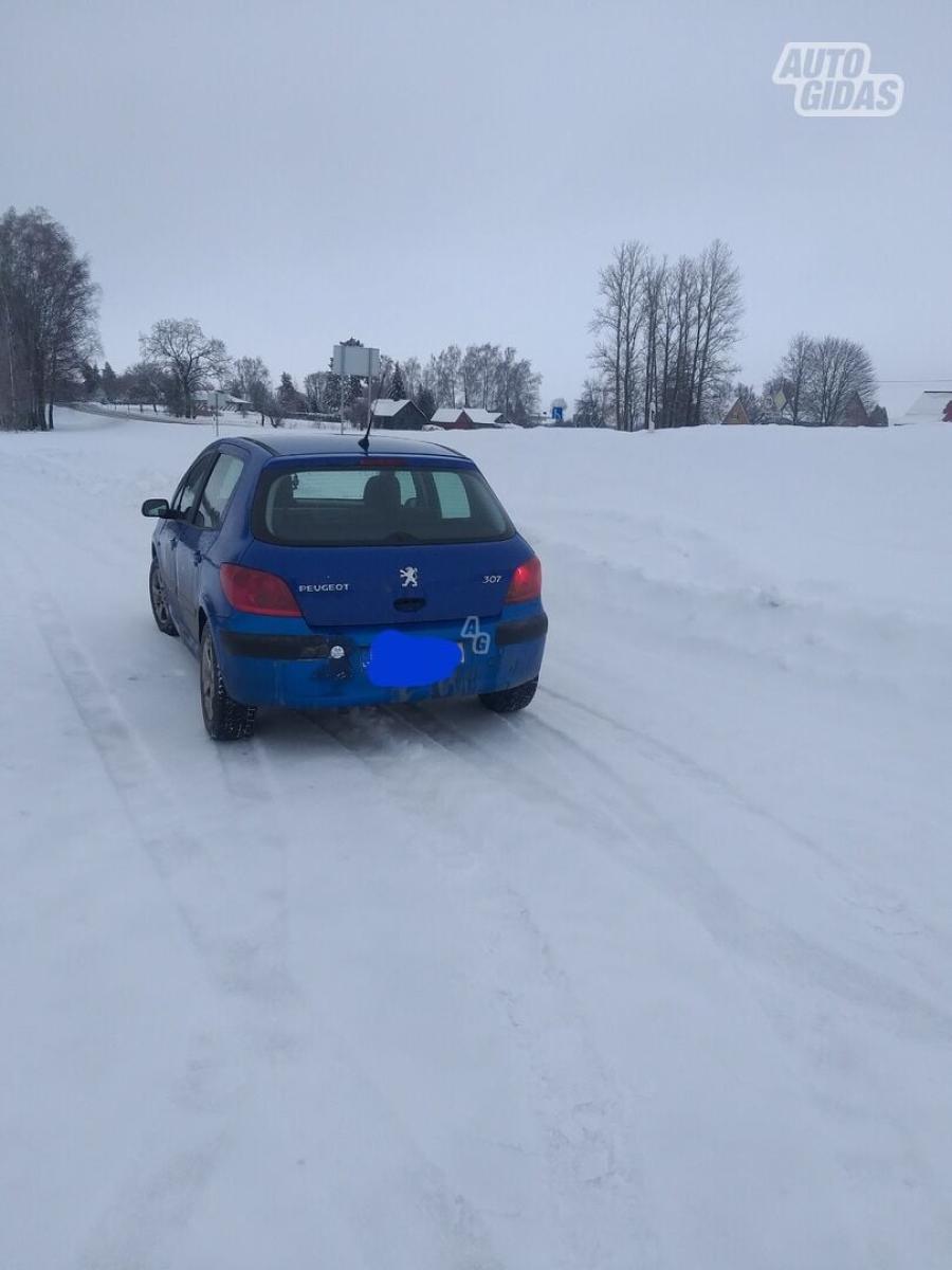 Peugeot 307 2002 in Vilnius, with an engine capacity of 1.90 L and mileage of 280 thousand km for 850 €, photo 4 on AUTOMOTO.COM.LV