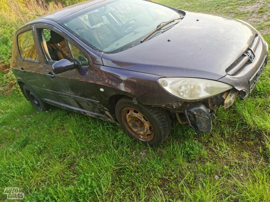 Peugeot 307 2003 Ignalina, ar dzinēja tilpumu 1.90 L un nobraukumu 350 tūkst. km par 230 €, foto 4 vietnē AUTOMOTO.COM.LV