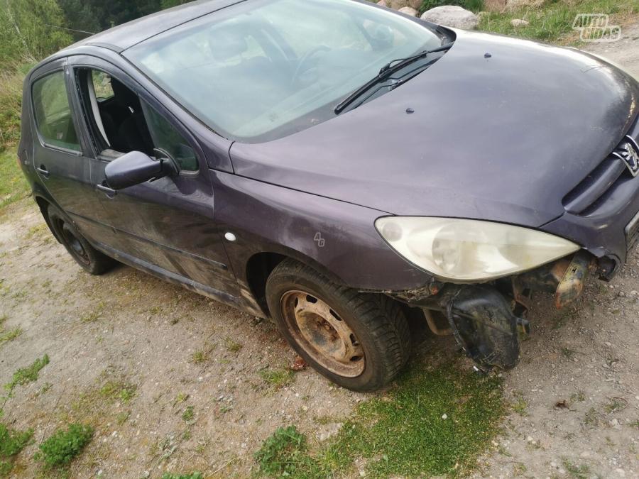 Peugeot 307 2003 Ignalina, ar dzinēja tilpumu 1.90 L un nobraukumu 350 tūkst. km par 230 €, foto 17 vietnē AUTOMOTO.COM.LV