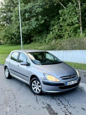Peugeot 307 2005 in Vilnius, with an engine capacity of 1.60 L and mileage of 251 thousand km for 750 €, photo  on AUTOMOTO.COM.LV