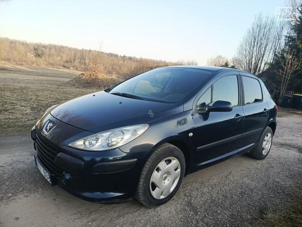 Peugeot 307 2007 in Klaipeda, with an engine capacity of 1.40 L and mileage of 297 thousand km for 1250 €, photo 10 on AUTOMOTO.COM.LV