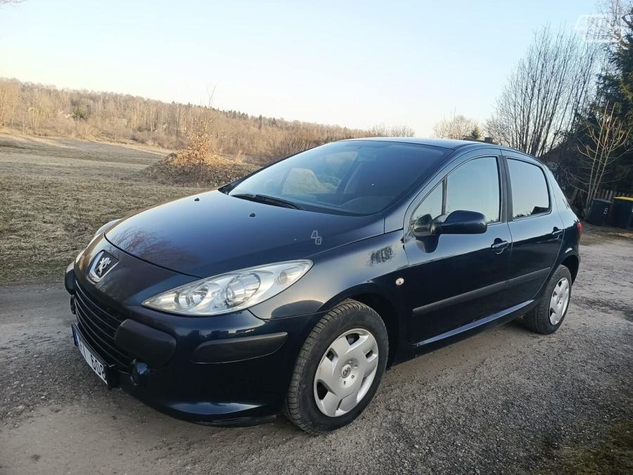Peugeot 307 2007 in Klaipeda, with an engine capacity of 1.40 L and mileage of 297 thousand km for 1250 €, photo 10 on AUTOMOTO.COM.LV