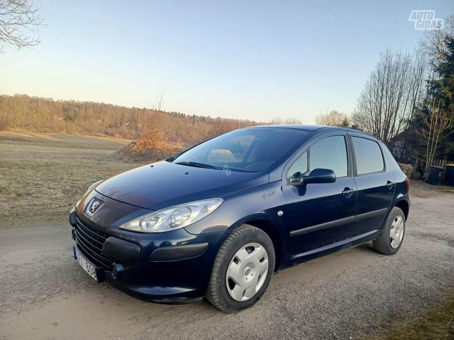 Peugeot 307 2007 in Klaipeda, with an engine capacity of 1.40 L and mileage of 297 thousand km for 1250 €, photo 12 on AUTOMOTO.COM.LV