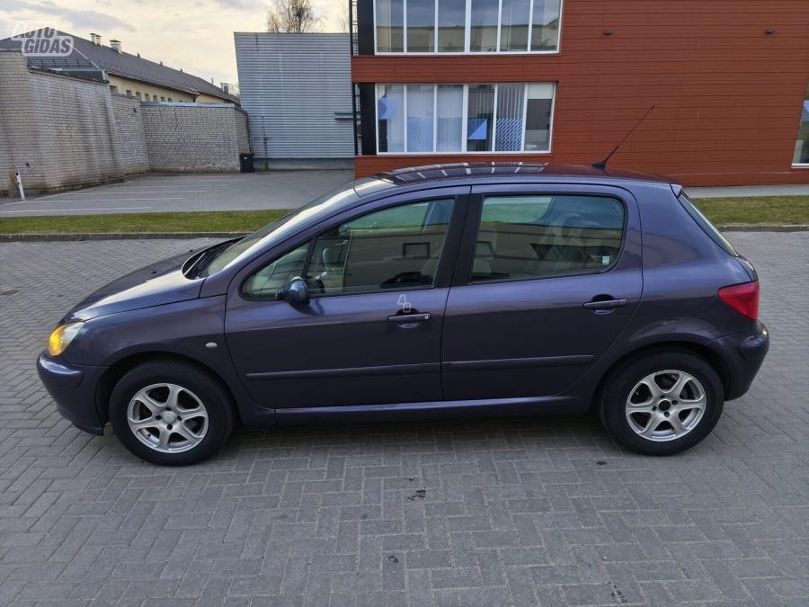 Violet Peugeot 307 2001 in Taurage, with an engine capacity of 2.00 L and mileage of 233 thousand km for 1350 €, photo 8 on AUTOMOTO.COM.LV