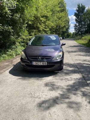 Фиолетовый Пежо 307 2002 в Вильнюс, объемом двигателя 1.60 л и пробегом 212 тыс. км за 1100 €, фото 13 на AUTOMOTO.COM.LV