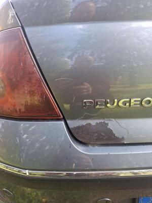 Pelēks Peugeot 407 2005 Panevēža, ar dzinēja tilpumu 2.00 L un nobraukumu 340 tūkst. km par 1000 €, foto 13 vietnē AUTOMOTO.COM.LV