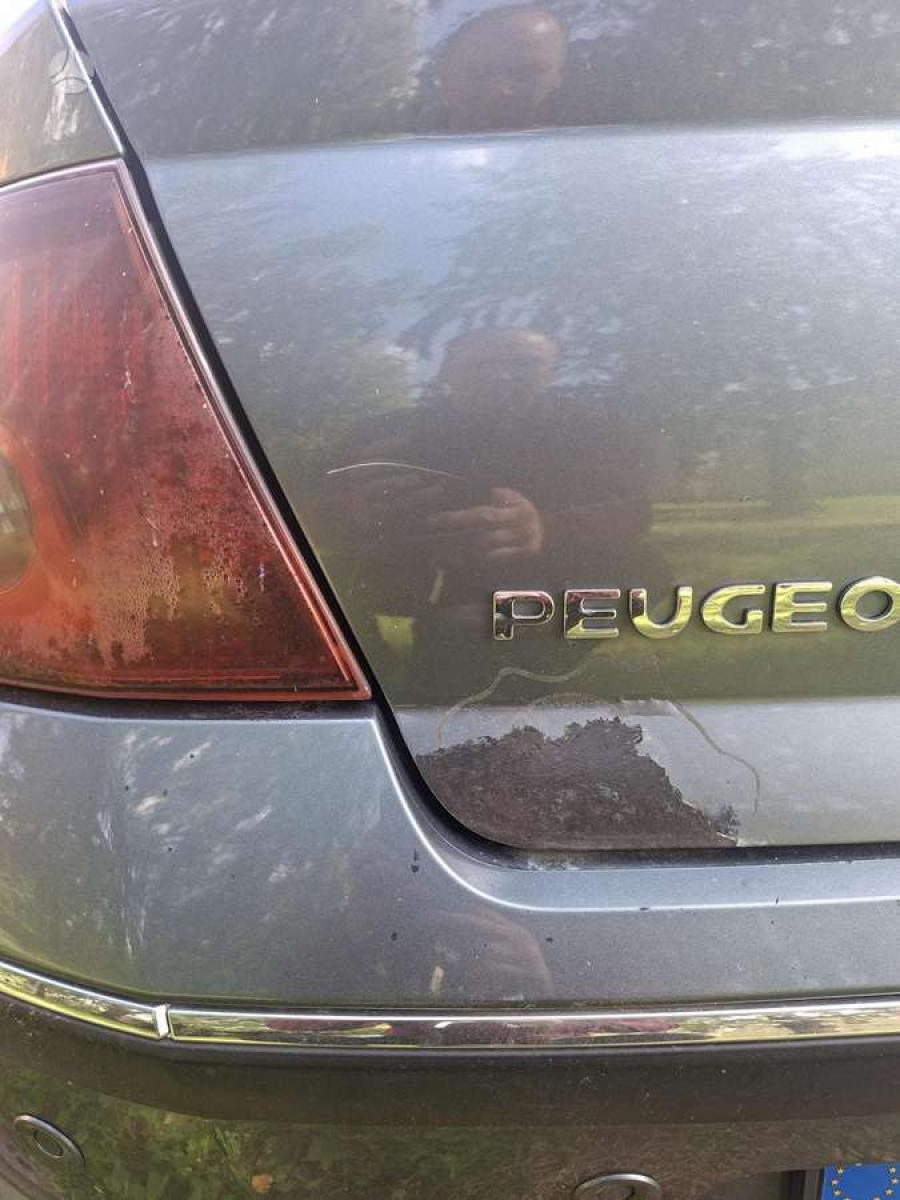 Pelēks Peugeot 407 2005 Panevēža, ar dzinēja tilpumu 2.00 L un nobraukumu 340 tūkst. km par 1000 €, foto 13 vietnē AUTOMOTO.COM.LV