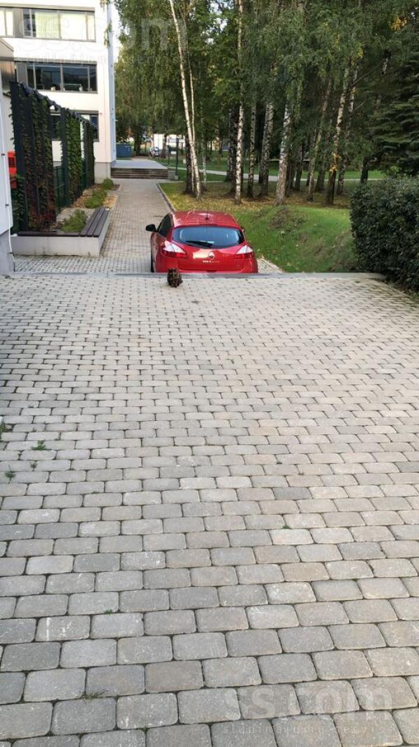 Красный Рено Меган 2012 в Прейли, объемом двигателя 1.50 л и пробегом 165 тыс. км за 930 €, фото 5 на AUTOMOTO.COM.LV