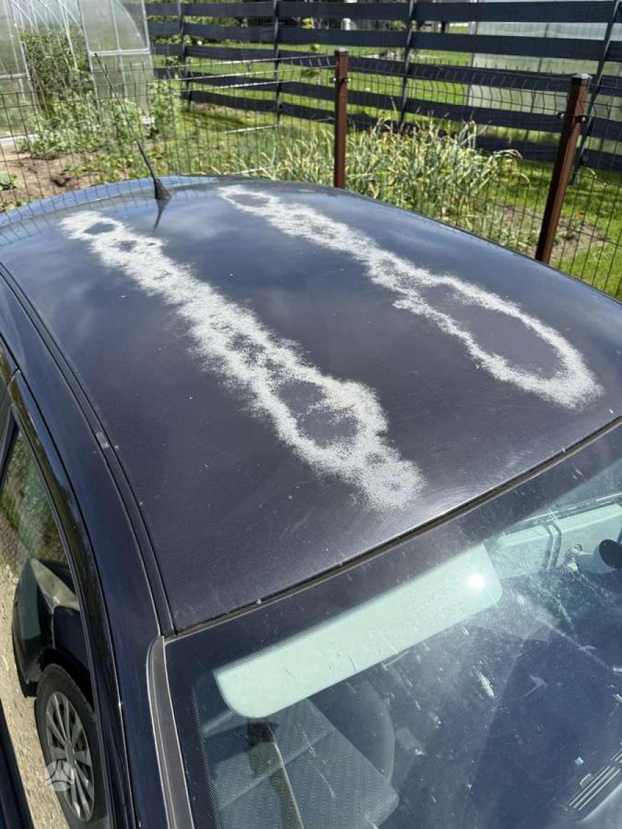Melns SEAT Leon 2004 Panevēža, ar dzinēja tilpumu 1.90 L un nobraukumu 311 tūkst. km par 650 €, foto 8 vietnē AUTOMOTO.COM.LV