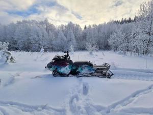 Ski Doo Lynx 2018 в Игналина, объемом двигателя 0.85 л и пробегом 4 тыс. км за 5900 €, фото 5 на AUTOMOTO.COM.LV