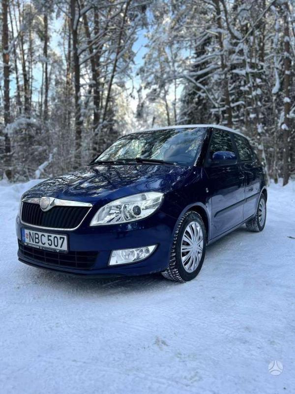 Zils Skoda Fabia 2010 Kauņa, ar dzinēja tilpumu 1.20 L un nobraukumu 375 tūkst. km par 3199 €, foto 7 vietnē AUTOMOTO.COM.LV