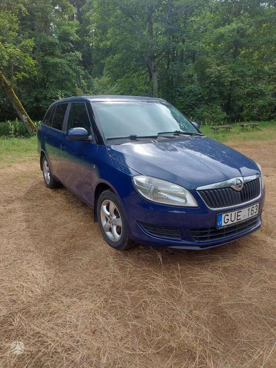 Zils Skoda Fabia 2013 Viļņa, ar dzinēja tilpumu 1.60 L un nobraukumu 306 tūkst. km par 2500 €, foto 5 vietnē AUTOMOTO.COM.LV