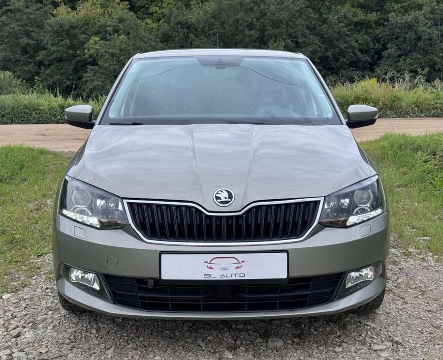Brown Skoda Fabia 2016 in Kaunas, with an engine capacity of 1.20 L and mileage of 245 thousand km for 6290 €, photo 5 on AUTOMOTO.COM.LV