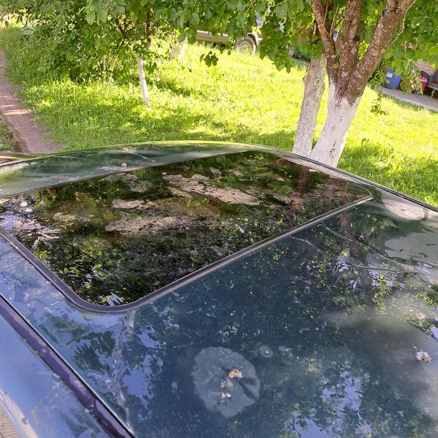 Zaļš Skoda Fabia 2003 Alīta, ar dzinēja tilpumu 1.90 L un nobraukumu 345 tūkst. km par 370 €, foto 8 vietnē AUTOMOTO.COM.LV