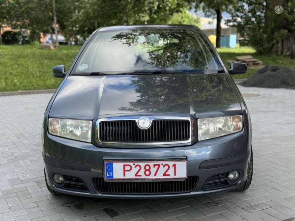 Green Skoda Fabia 2006 in Mazeikiai, with an engine capacity of 1.90 L and mileage of 304 thousand km for 1150 €, photo 9 on AUTOMOTO.COM.LV