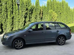 Green Skoda Fabia 2006 in Mazeikiai, with an engine capacity of 1.90 L and mileage of 304 thousand km for 1150 €, photo 13 on AUTOMOTO.COM.LV
