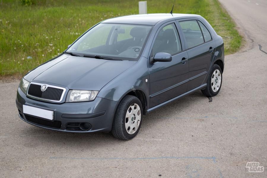 Grey Skoda Fabia 2007 in Klaipeda, with an engine capacity of 1.90 L and mileage of 204 thousand km for 2000 €, photo 1 on AUTOMOTO.COM.LV