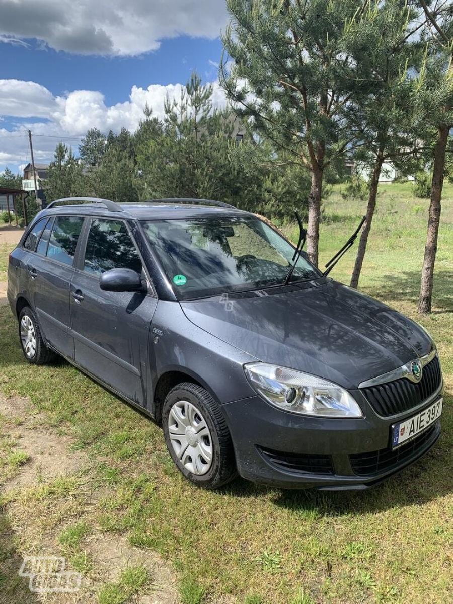 Grey Skoda Fabia 2011 in Lazdijai, with an engine capacity of 1.20 L and mileage of 172 thousand km for 3599 €, photo 1 on AUTOMOTO.COM.LV
