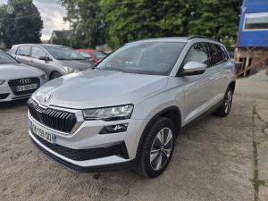 Grey Skoda Karoq 2023 in Taurage, with an engine capacity of 1.97 L and mileage of 201 thousand km for 14300 €, photo 3 on AUTOMOTO.COM.LV