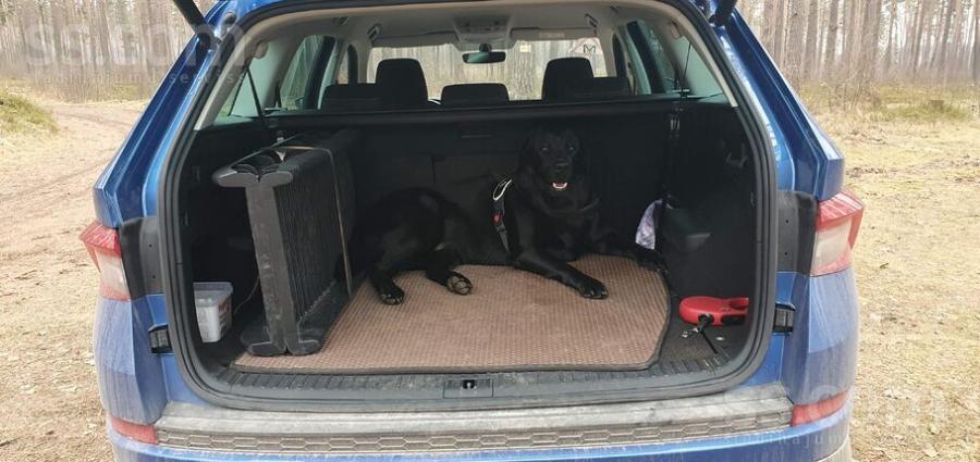 Blue Skoda Kodiaq 2021 in Riga, with an engine capacity of 1.50 L and mileage of 99 thousand km for 24000 €, photo 2 on AUTOMOTO.COM.LV