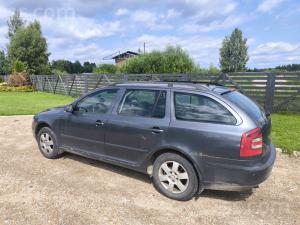 Zils Skoda Octavia 2007 Rīga, ar dzinēja tilpumu 1.90 L un nobraukumu 318 tūkst. km par 1400 €, foto 5 vietnē AUTOMOTO.COM.LV