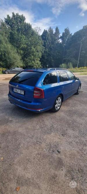 Zils Skoda Octavia 2007 Viļņa, ar dzinēja tilpumu 1.97 L un nobraukumu 406 tūkst. km par 3000 €, foto 6 vietnē AUTOMOTO.COM.LV