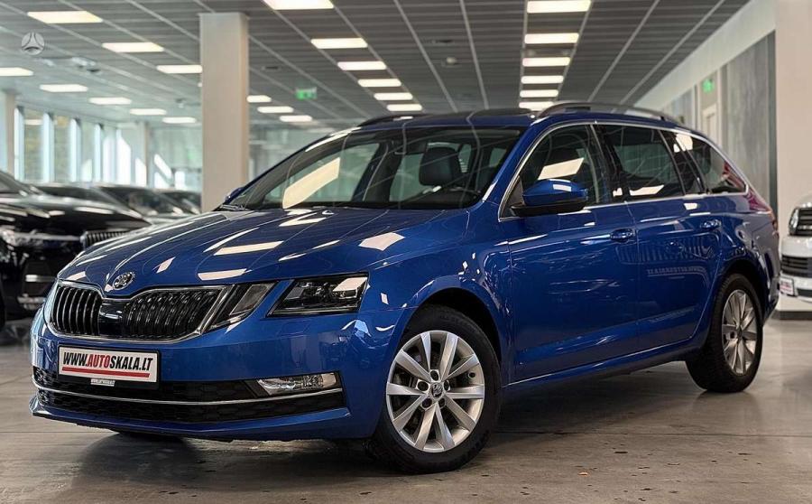 Zils Skoda Octavia 2017 Klaipėda, ar dzinēja tilpumu 1.97 L un nobraukumu 258 tūkst. km par 11950 €, foto 8 vietnē AUTOMOTO.COM.LV