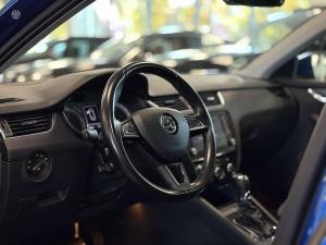 Zils Skoda Octavia 2017 Klaipėda, ar dzinēja tilpumu 1.97 L un nobraukumu 258 tūkst. km par 11950 €, foto 24 vietnē AUTOMOTO.COM.LV