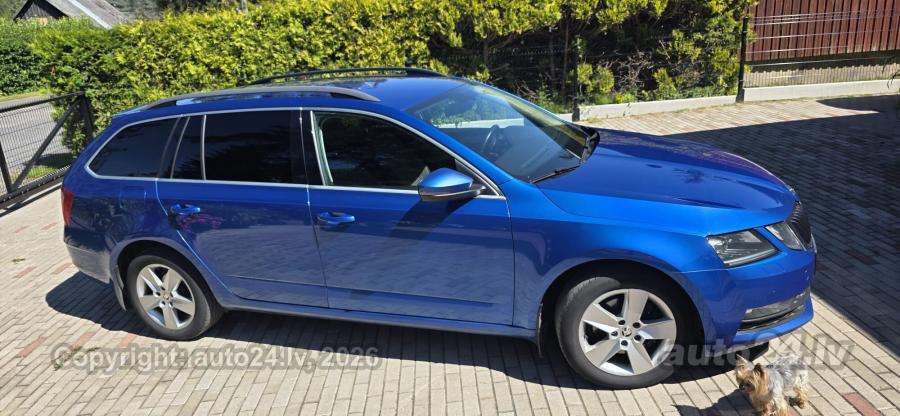 Zils Skoda Octavia 2019 Tallina, ar dzinēja tilpumu 1.50 L un nobraukumu 195 tūkst. km par 8700 €, foto 9 vietnē AUTOMOTO.COM.LV