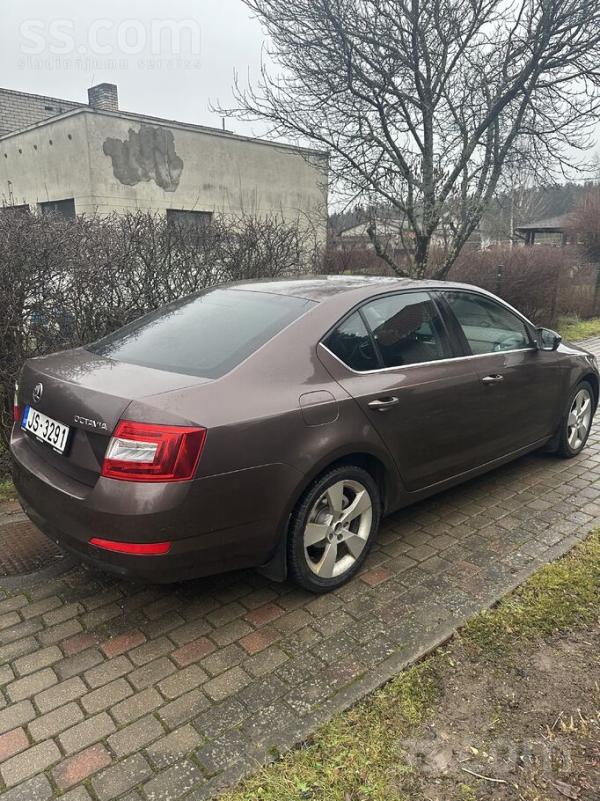 Brown Skoda Octavia 2014 in Valka, with an engine capacity of 1.60 L and mileage of 231 thousand km for 7000 €, photo 2 on AUTOMOTO.COM.LV