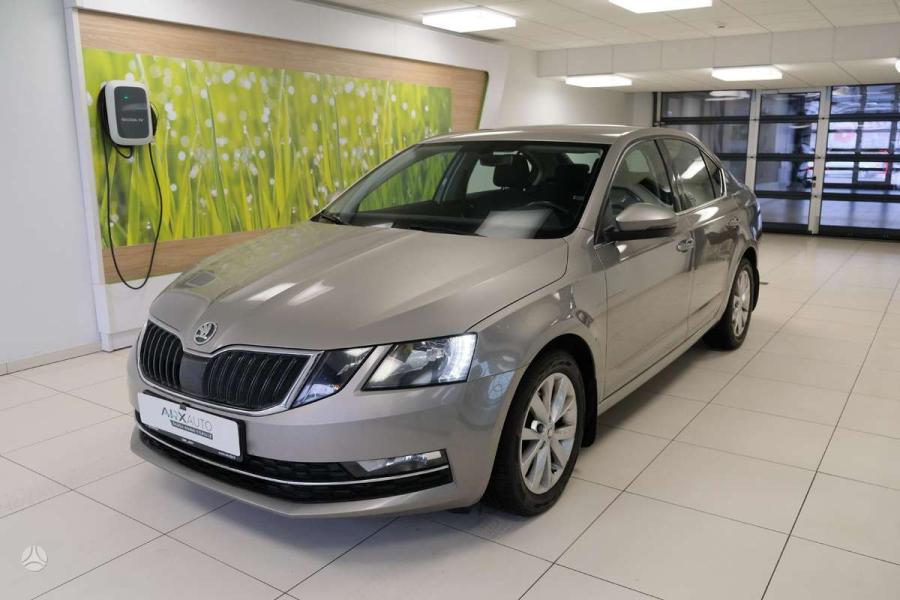Brown Skoda Octavia 2018 in Vilnius, with an engine capacity of 1.60 L and mileage of 119 thousand km for 11600 €, photo 1 on AUTOMOTO.COM.LV