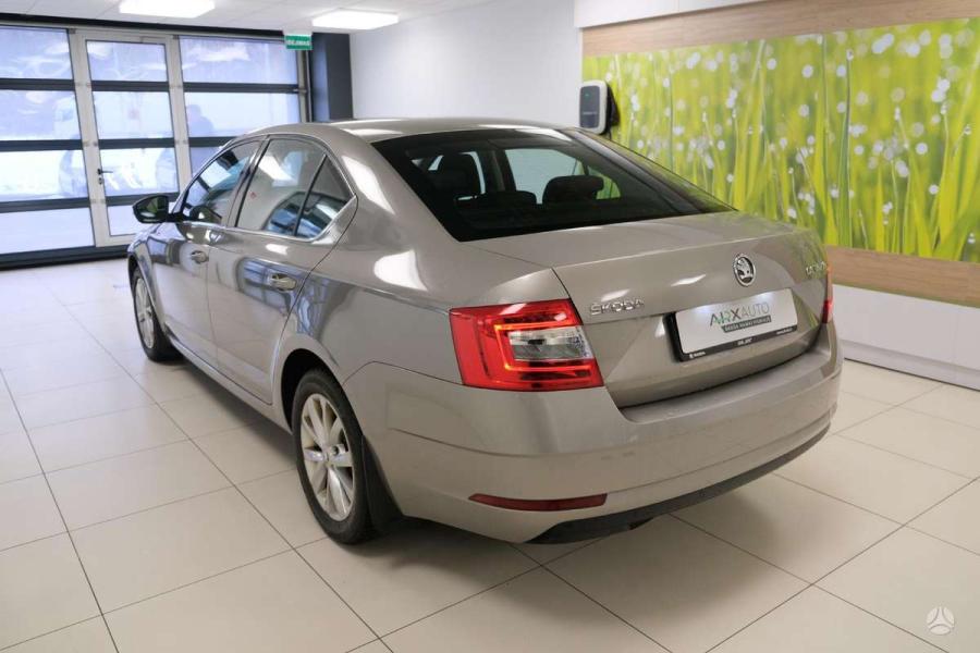 Brown Skoda Octavia 2018 in Vilnius, with an engine capacity of 1.60 L and mileage of 119 thousand km for 11600 €, photo 4 on AUTOMOTO.COM.LV