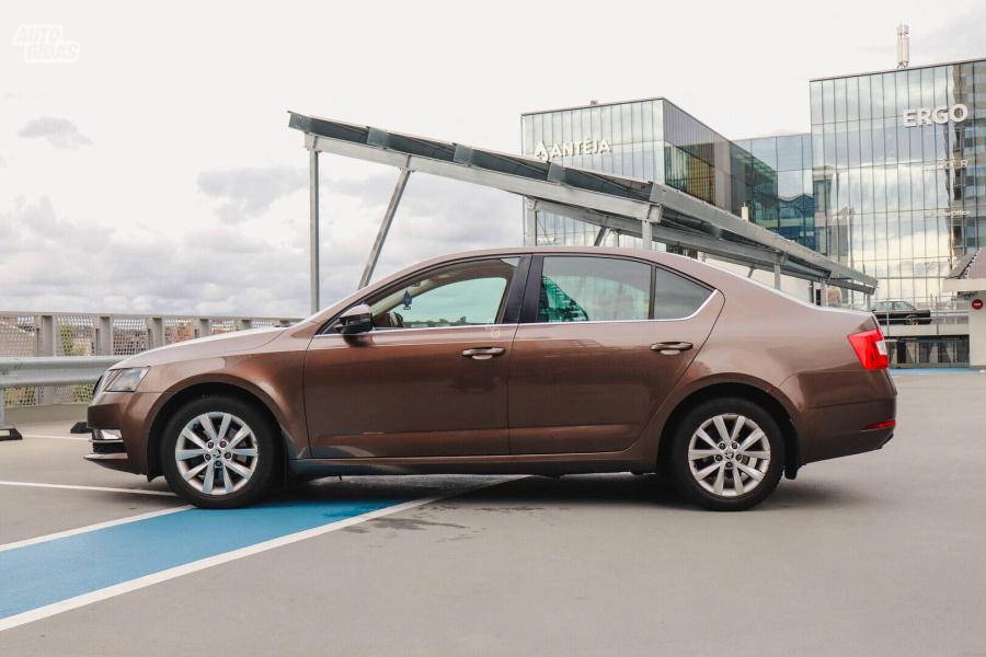 Brown Skoda Octavia 2018 in Vilnius, with an engine capacity of 1.00 L and mileage of 156 thousand km for 8900 €, photo 3 on AUTOMOTO.COM.LV