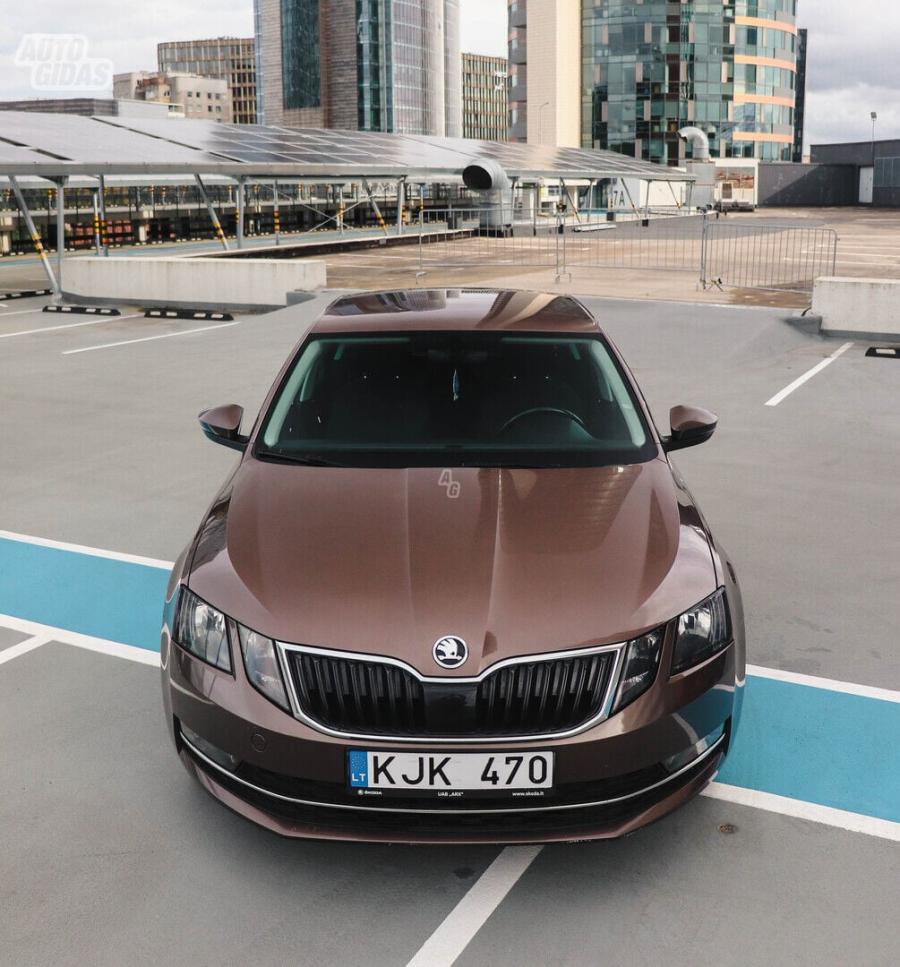 Brown Skoda Octavia 2018 in Vilnius, with an engine capacity of 1.00 L and mileage of 156 thousand km for 8900 €, photo 10 on AUTOMOTO.COM.LV
