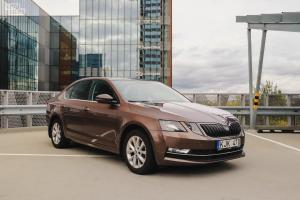 Brown Skoda Octavia 2018 in Vilnius, with an engine capacity of 1.00 L and mileage of 156 thousand km for 8900 €, photo 21 on AUTOMOTO.COM.LV
