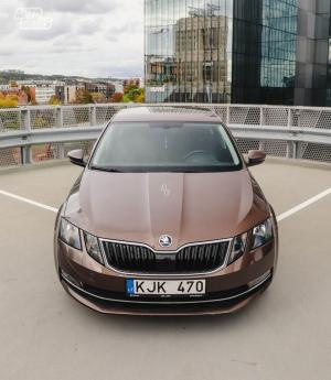 Brown Skoda Octavia 2018 in Vilnius, with an engine capacity of 1.00 L and mileage of 156 thousand km for 8900 €, photo 22 on AUTOMOTO.COM.LV