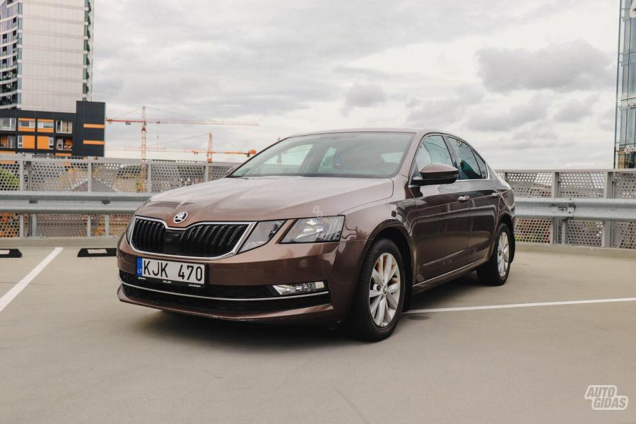 Brown Skoda Octavia 2018 in Vilnius, with an engine capacity of 1.00 L and mileage of 156 thousand km for 8900 €, photo 23 on AUTOMOTO.COM.LV