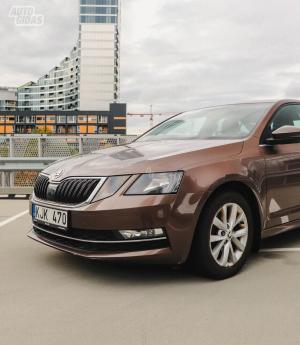 Brown Skoda Octavia 2018 in Vilnius, with an engine capacity of 1.00 L and mileage of 156 thousand km for 8900 €, photo 24 on AUTOMOTO.COM.LV
