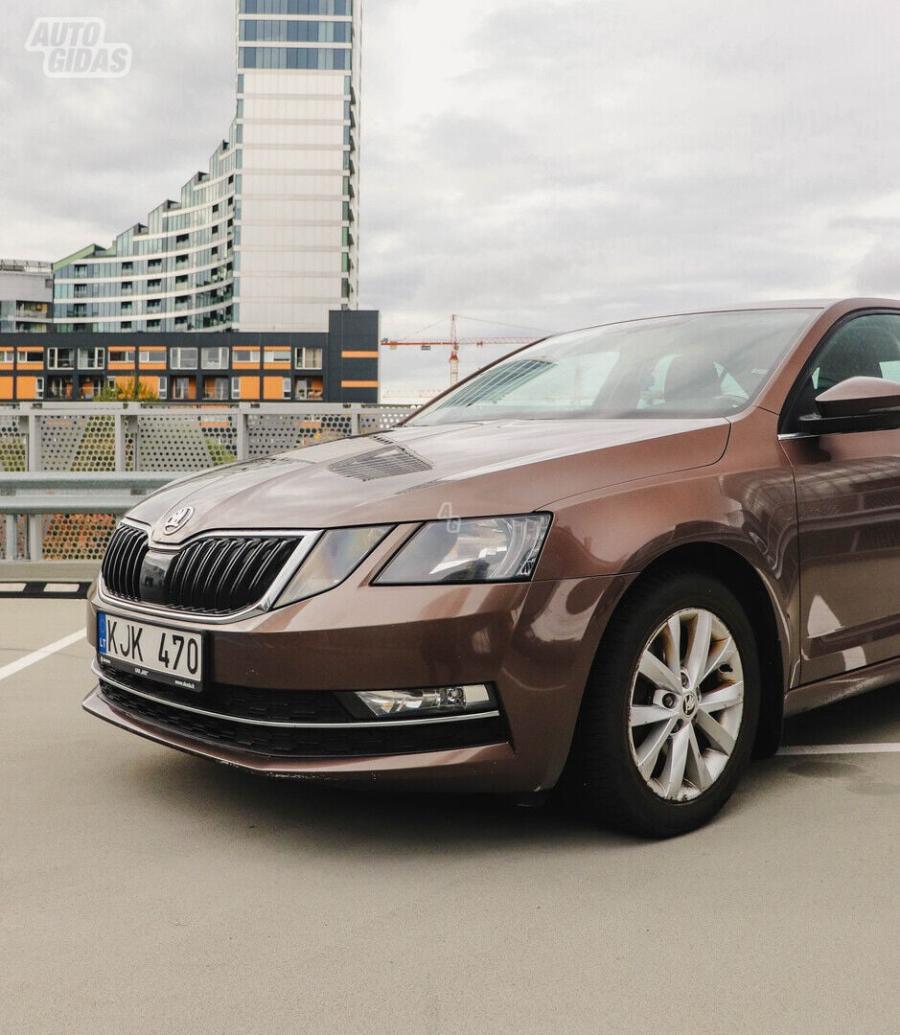 Brown Skoda Octavia 2018 in Vilnius, with an engine capacity of 1.00 L and mileage of 156 thousand km for 8900 €, photo 24 on AUTOMOTO.COM.LV