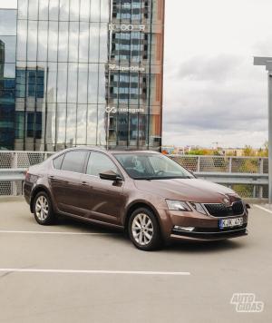 Brown Skoda Octavia 2018 in Vilnius, with an engine capacity of 1.00 L and mileage of 156 thousand km for 8900 €, photo 25 on AUTOMOTO.COM.LV