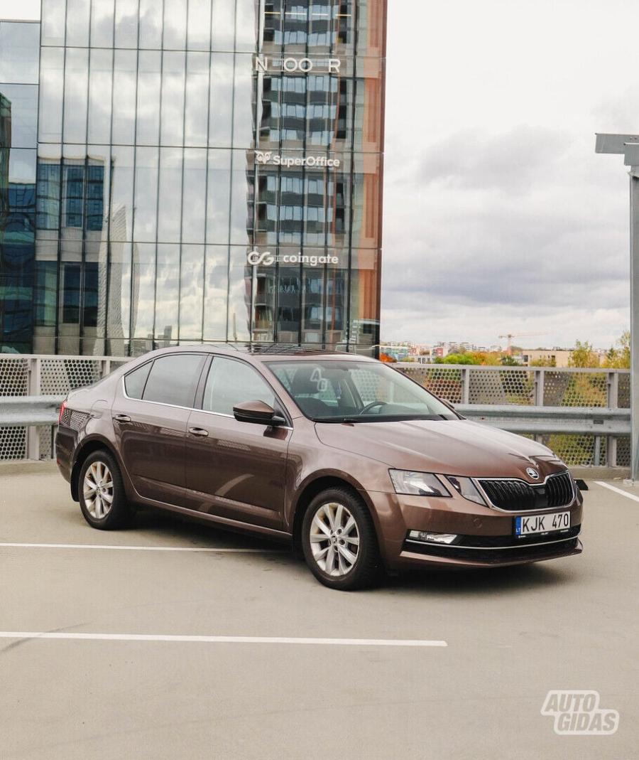 Brown Skoda Octavia 2018 in Vilnius, with an engine capacity of 1.00 L and mileage of 156 thousand km for 8900 €, photo 25 on AUTOMOTO.COM.LV