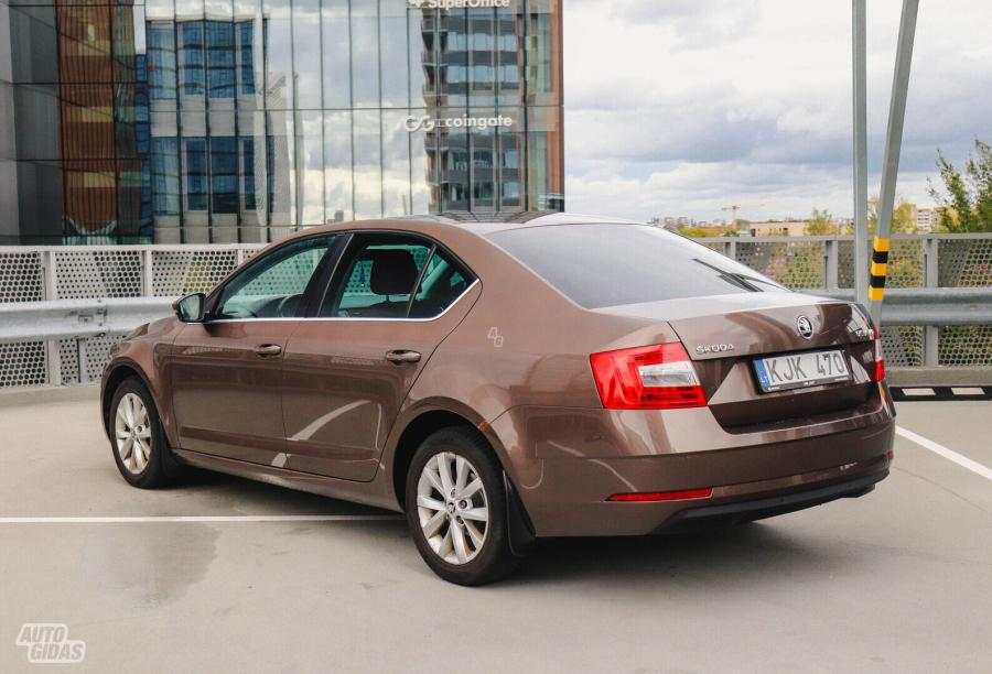 Brown Skoda Octavia 2018 in Vilnius, with an engine capacity of 1.00 L and mileage of 156 thousand km for 8900 €, photo 31 on AUTOMOTO.COM.LV