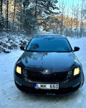 Brown Skoda Octavia 2020 in Vilnius, with an engine capacity of 1.50 L and mileage of 149 thousand km for 13900 €, photo 2 on AUTOMOTO.COM.LV