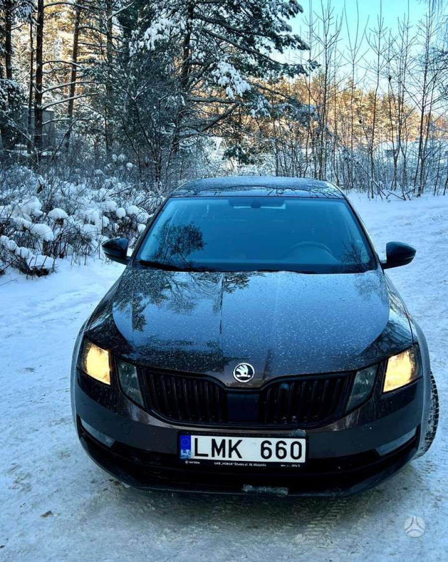 Brown Skoda Octavia 2020 in Vilnius, with an engine capacity of 1.50 L and mileage of 149 thousand km for 13900 €, photo 2 on AUTOMOTO.COM.LV